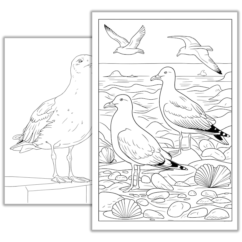 Gull Coloring Page – Printable Seagull Coloring Sheet for Kids & Adults ...