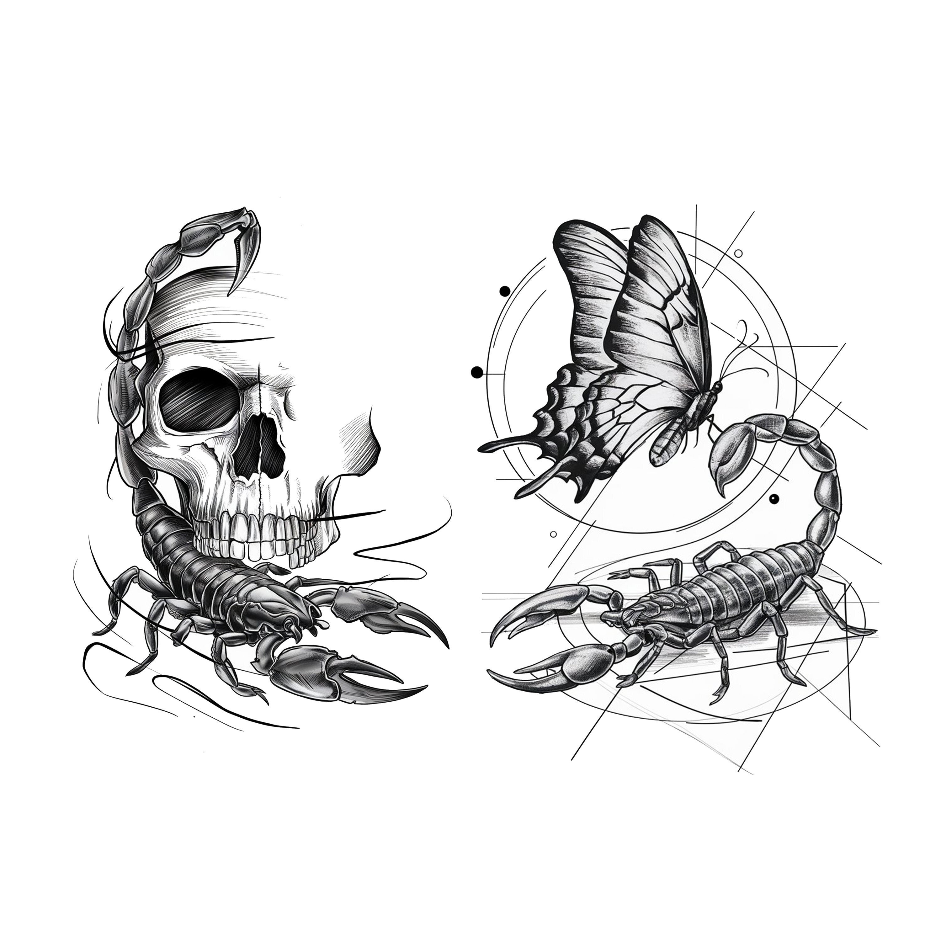 Scorpion Tattoo Sketch - Intricate and Bold Design for Ink Lovers - Etsy