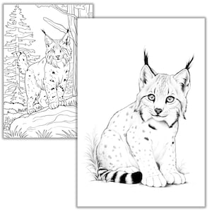 Lynx Coloring Pages | Printable Wildcat Art for Kids & Adults - Etsy