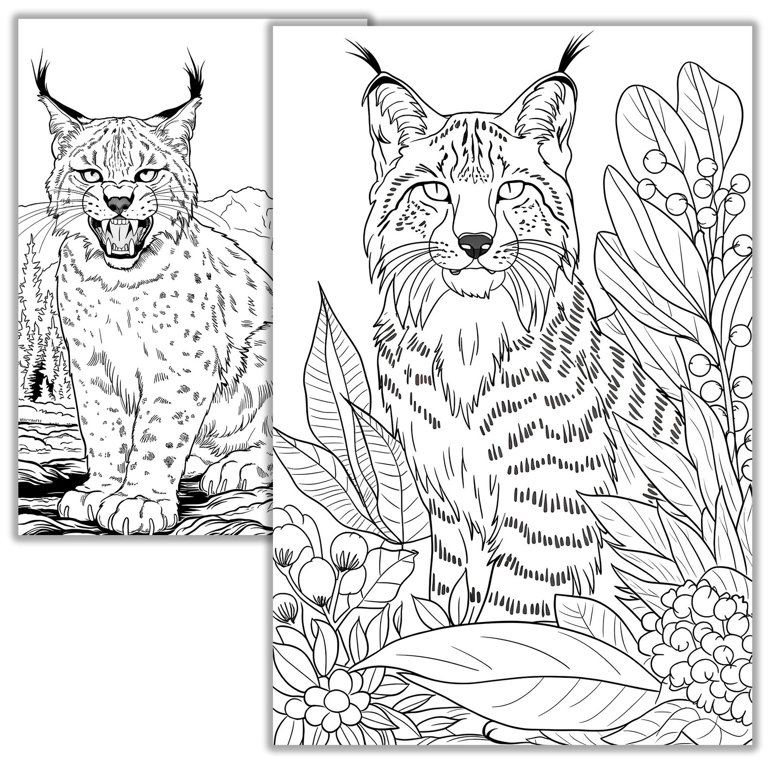 Lynx Coloring Pages | Printable Wildcat Art for Kids & Adults - Etsy