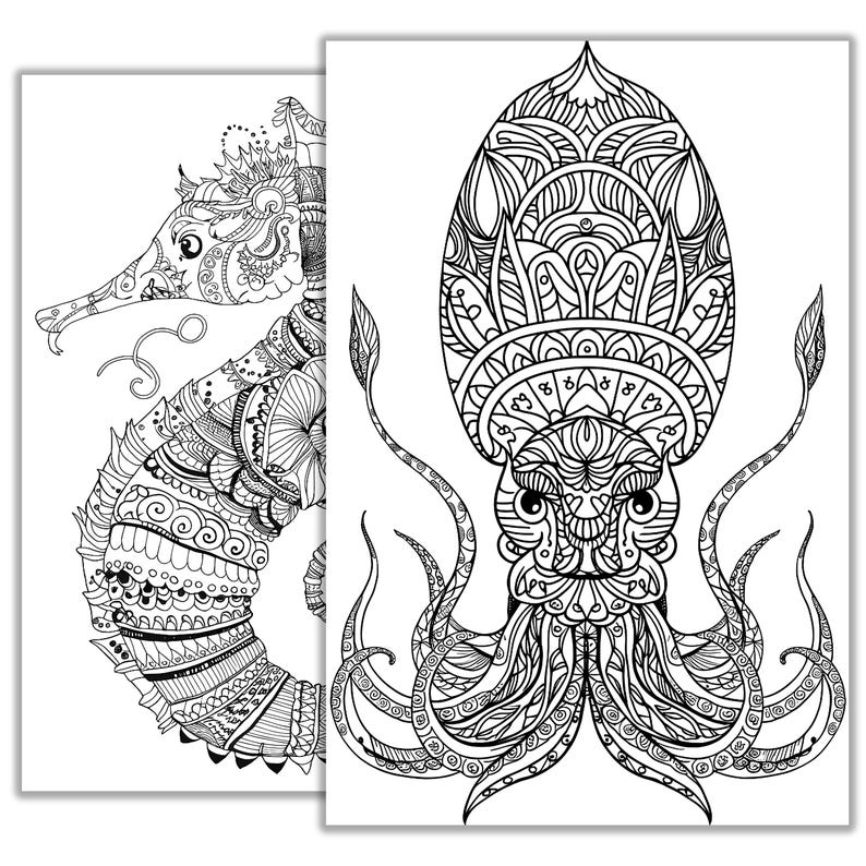 Sea Creatures Mandala Coloring Page - Ocean Animal Printable Line Art ...