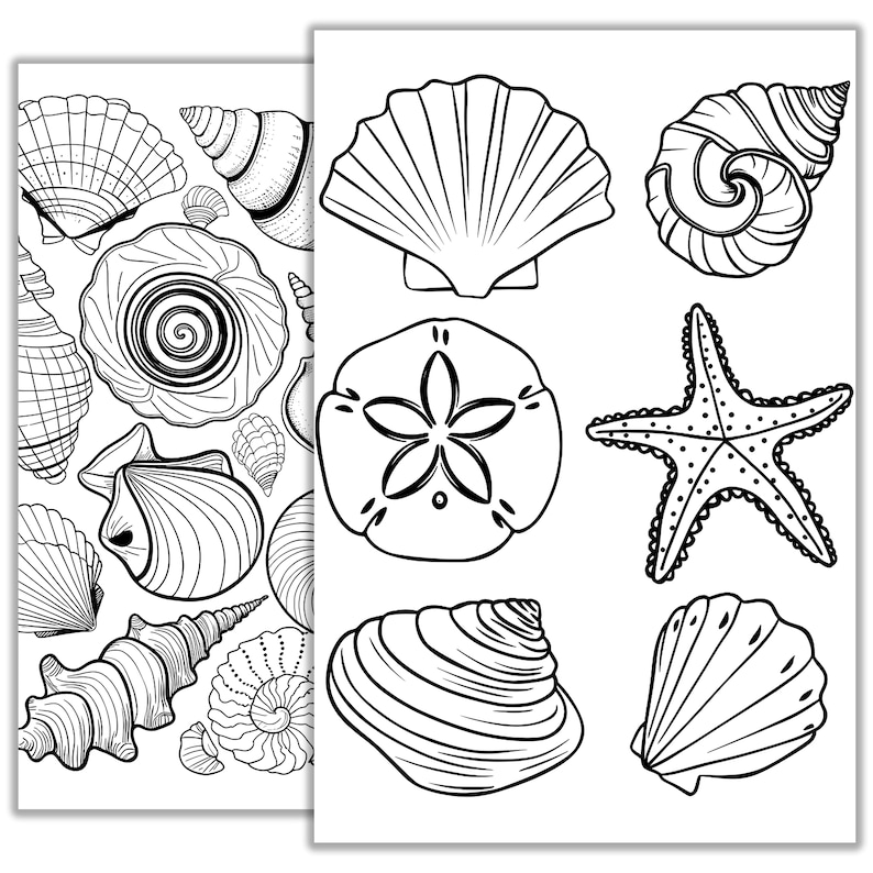 Seashells Coloring Page – Intricate Ocean-inspired Printable Art ...