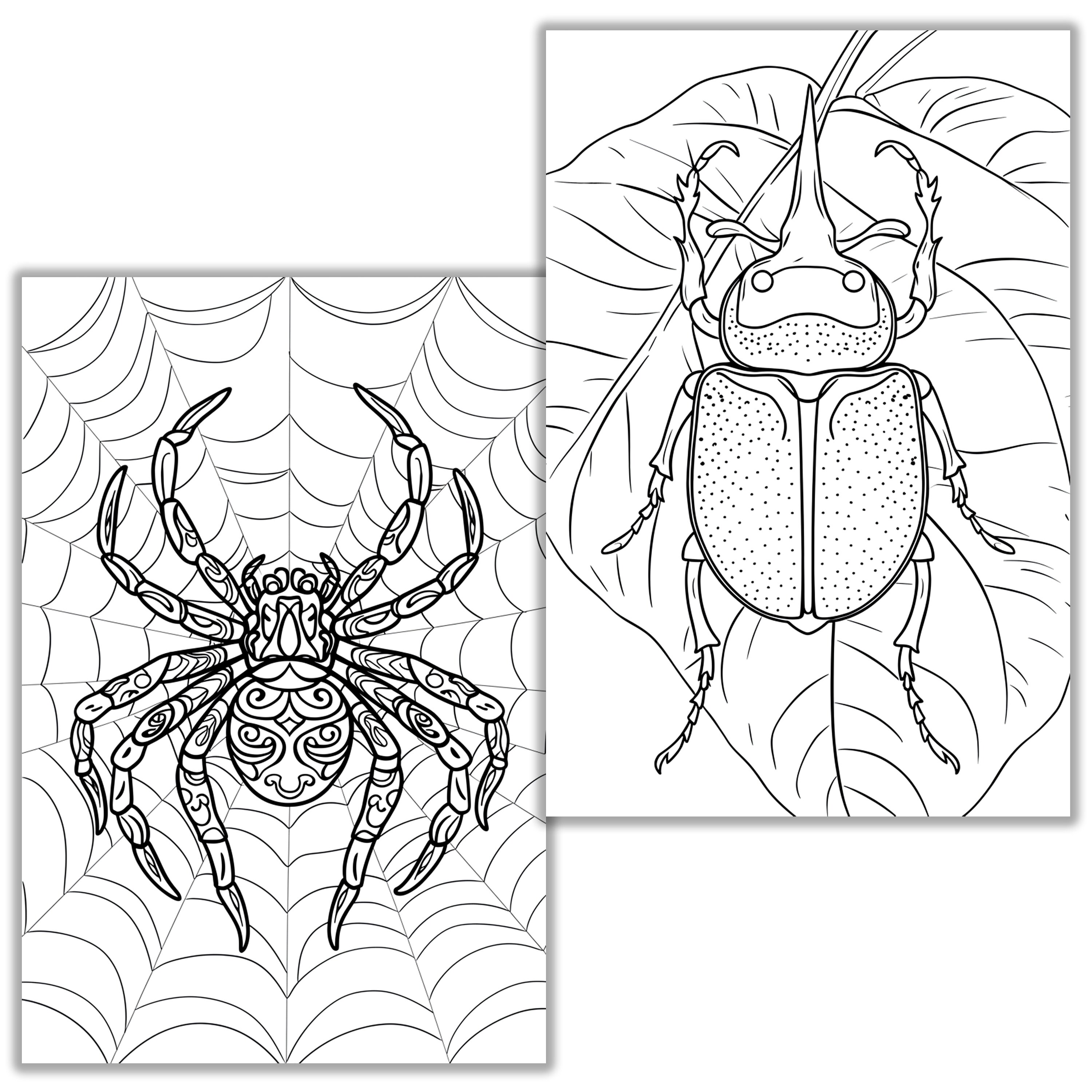 Insect Coloring Pages – Fun Printable Bug Coloring Sheets for Kids ...