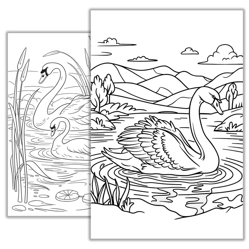 Swan Coloring Page | Printable Animal Art for Kids & Adults - Etsy
