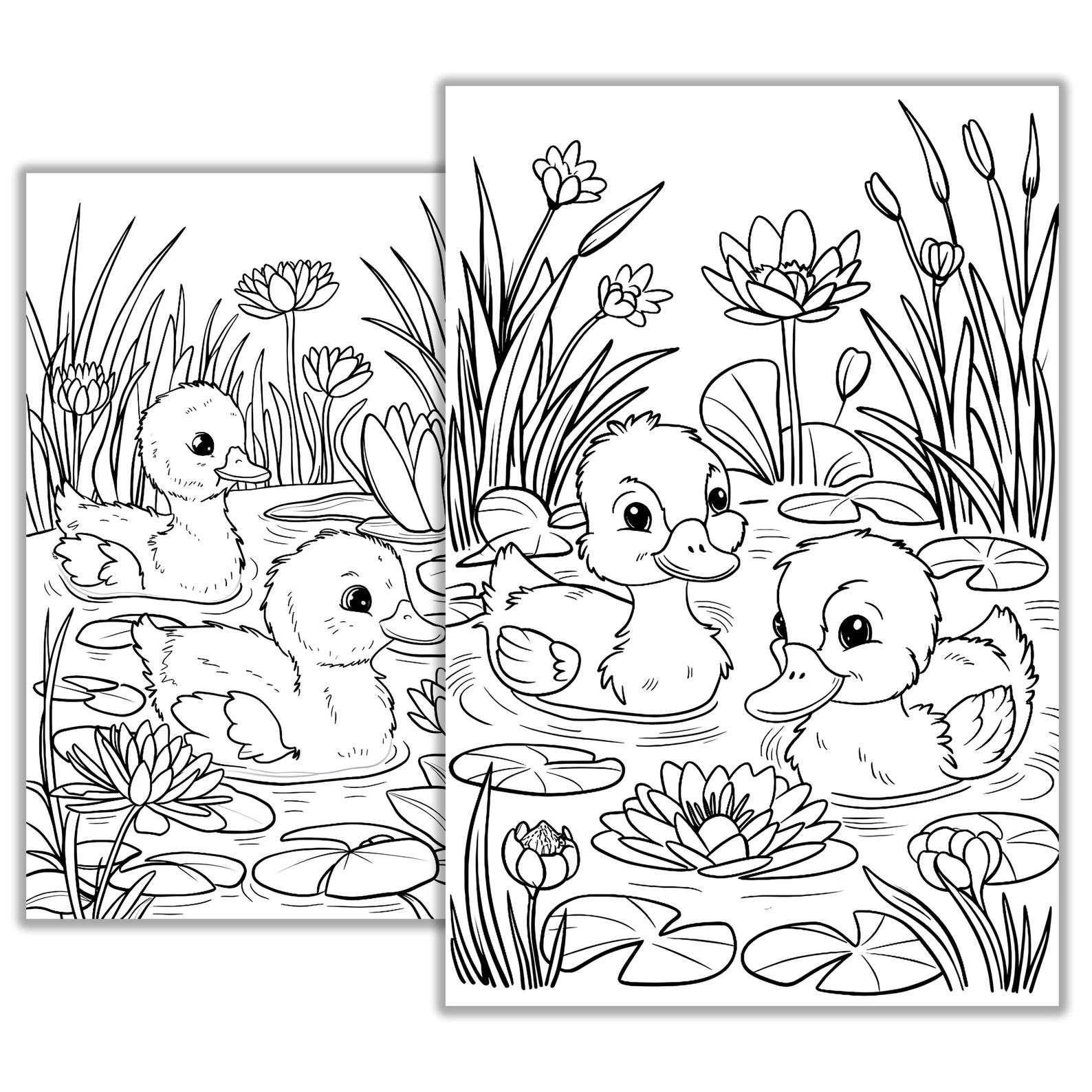 Charming Duck Coloring Pages - Fun & Relaxing Printable Art for All ...