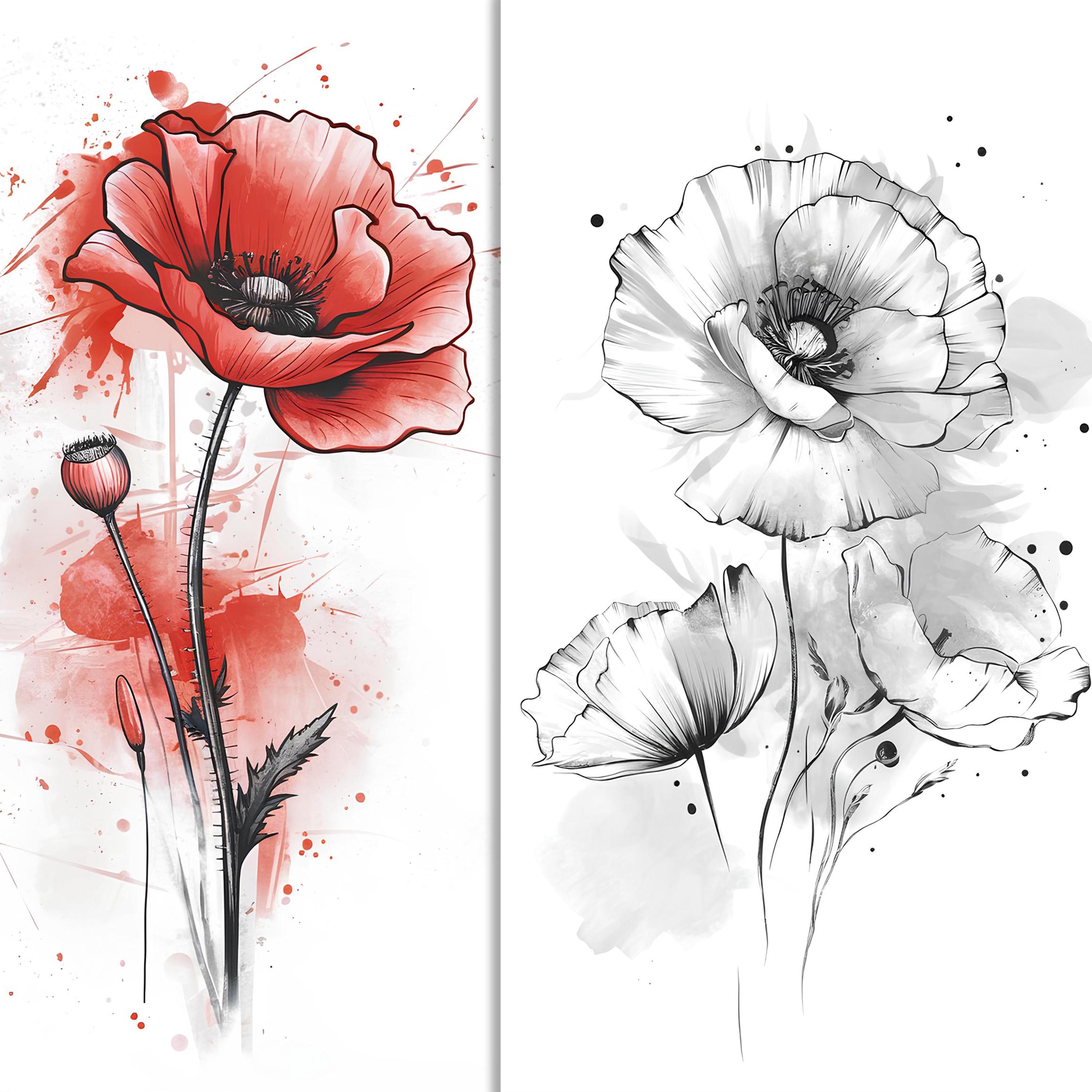 Poppy Plant Drawings Poppy Flower Botanical Illustration, Wild Red...