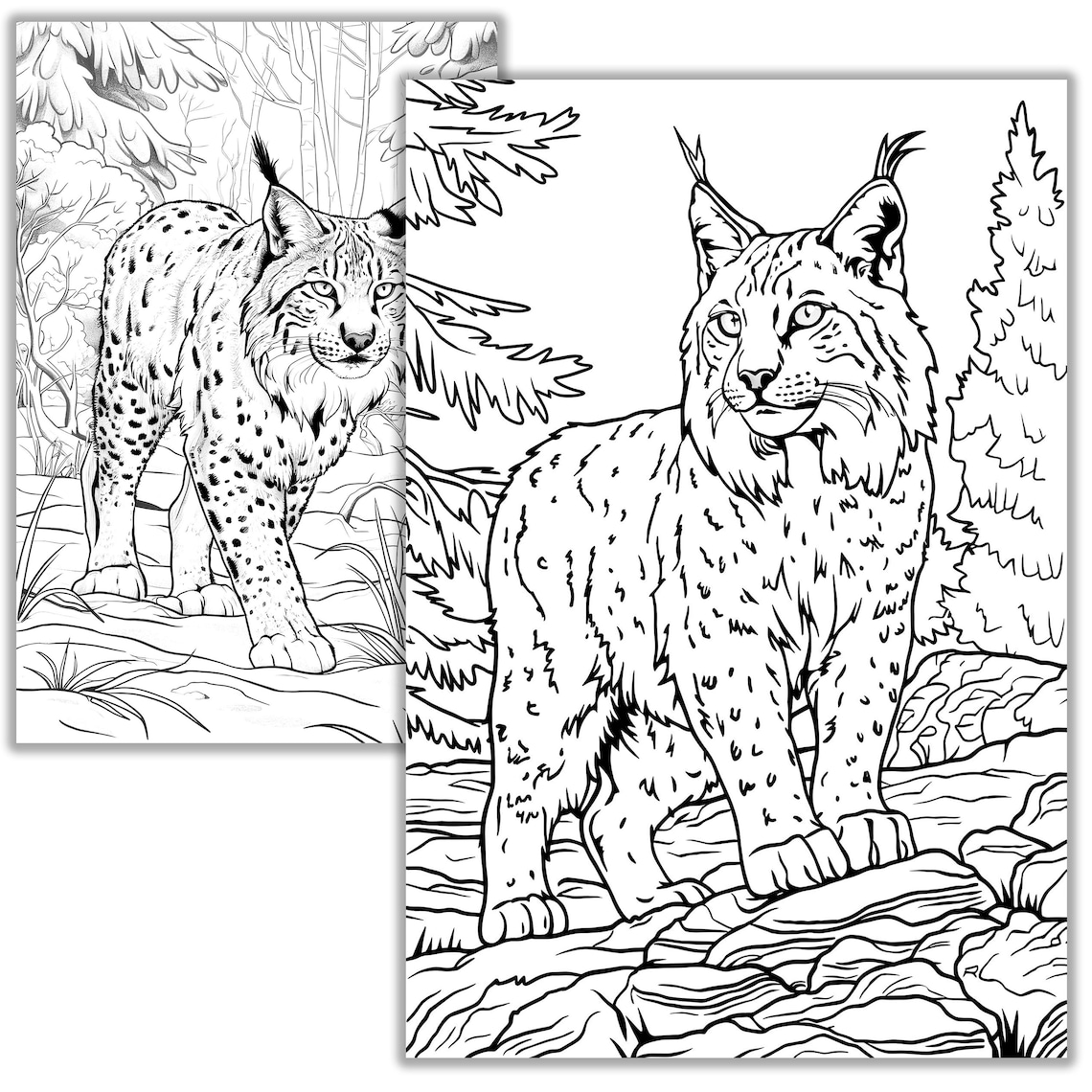 Lynx Coloring Pages | Printable Wildcat Art for Kids & Adults - Etsy