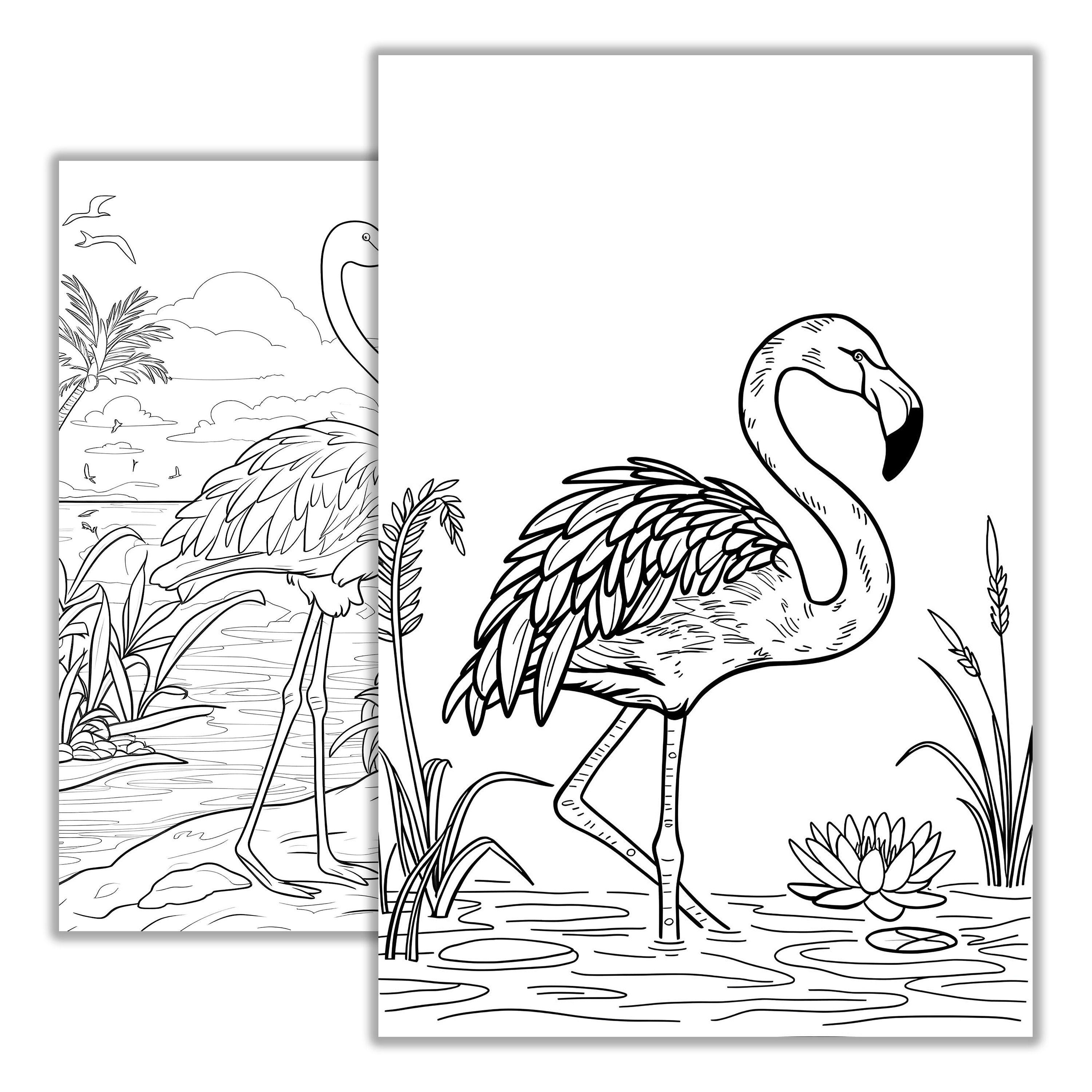 Flamingo Coloring Pages – Printable Tropical Bird Art for Kids and ...