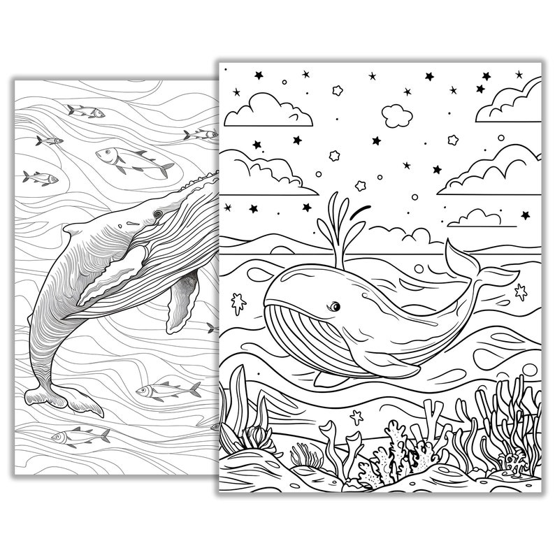 Whale Coloring Page Printable Ocean Art for Kids & Adults - Etsy