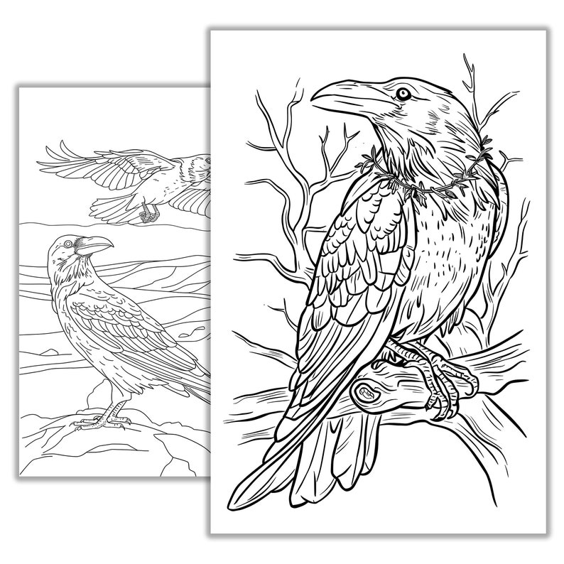 Raven Coloring Page | Printable Gothic Art for Kids & Adults - Etsy