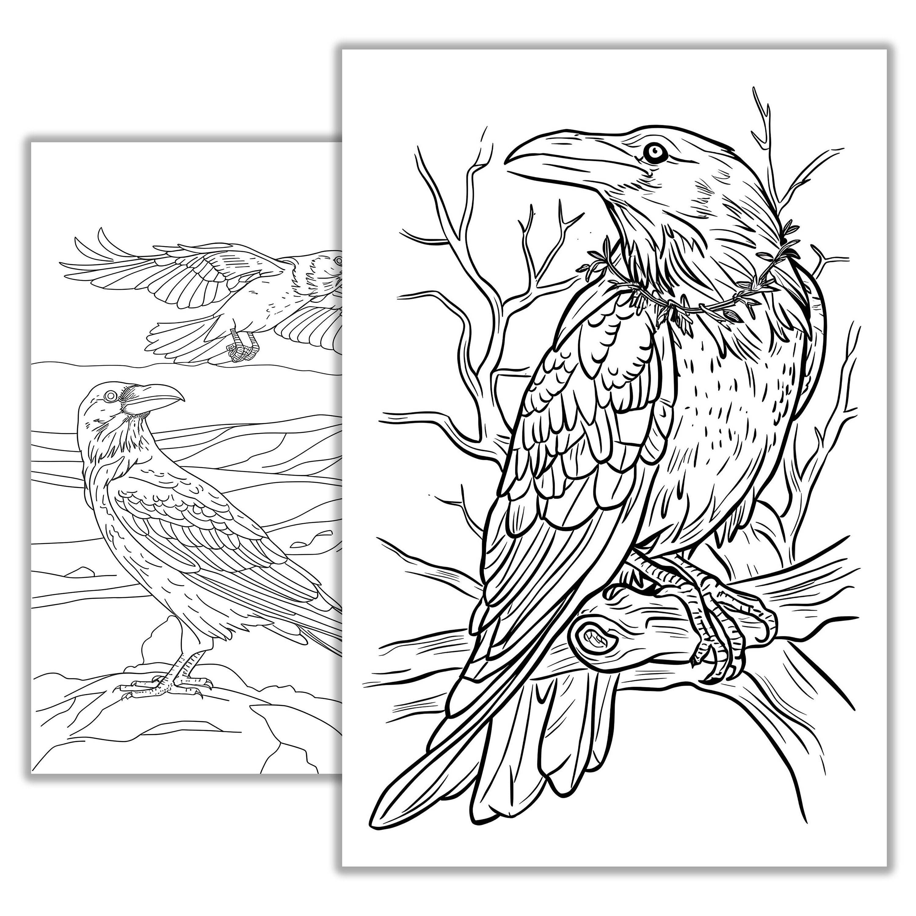 Raven Coloring Page – Printable Gothic Bird Line Art for Adults & Teens ...