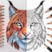 Lynx Coloring Pages Printable Wildcat Art for Kids & Adults - Etsy