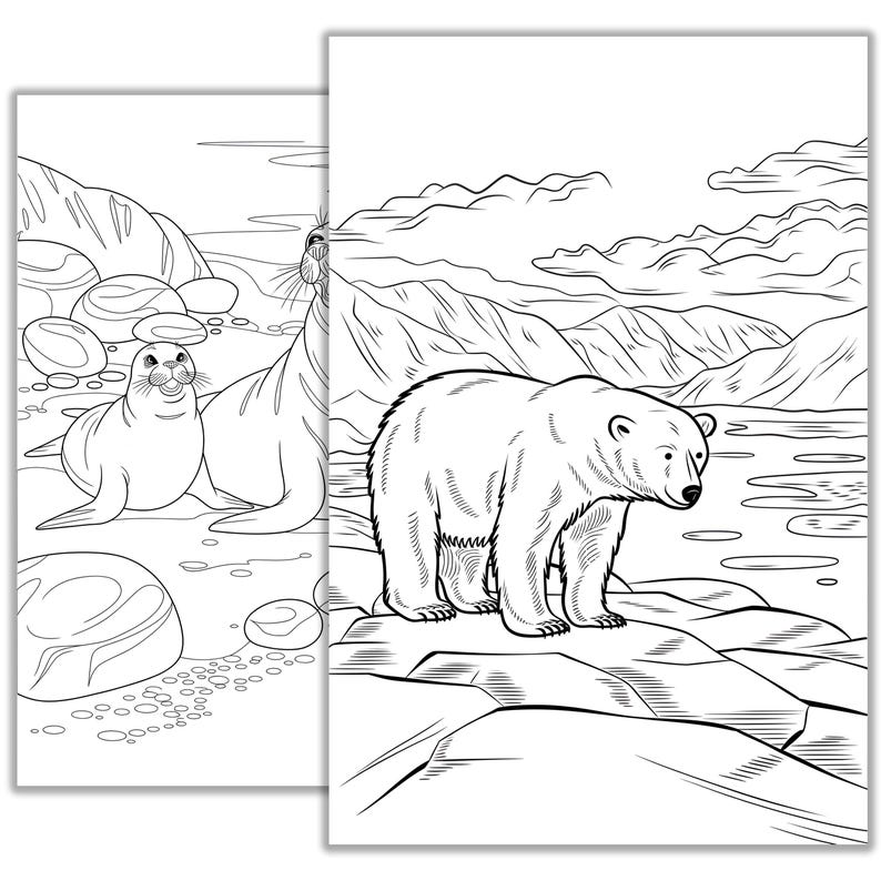 Arctic Coloring Page – Fun and Educational Printable Art for Kids - Etsy