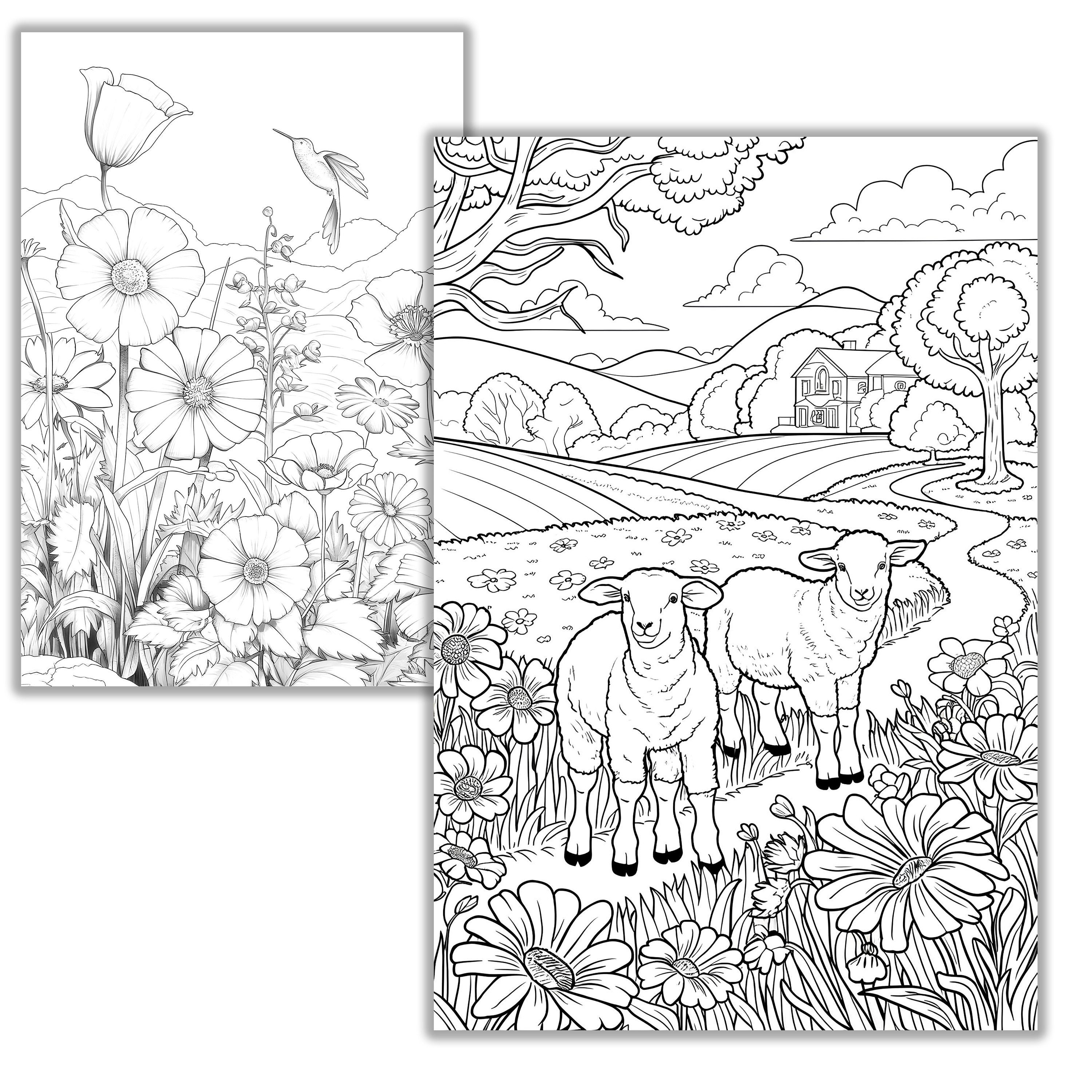 Flowers in the Field Coloring Page. Printable Floral Scene for Kids and ...