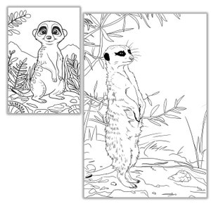 Meerkat Coloring Page | Printable Cute Animal Art for Kids & Adults - Etsy