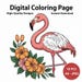 Flamingo Coloring Pages – Printable Tropical Bird Art for Kids and ...