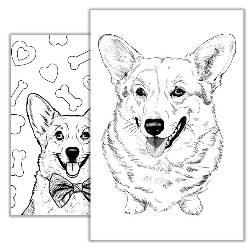 Corgi Coloring Pages Printable Dog Art for Stress Relief & Fun - Etsy