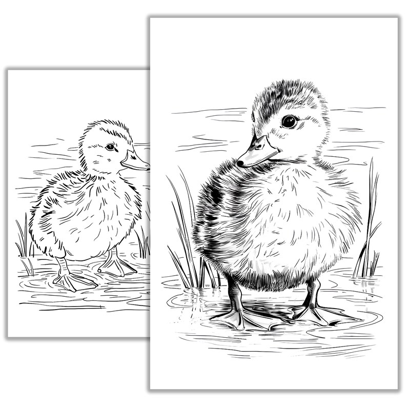 Charming Duck Coloring Pages - Fun & Relaxing Printable Art for All ...