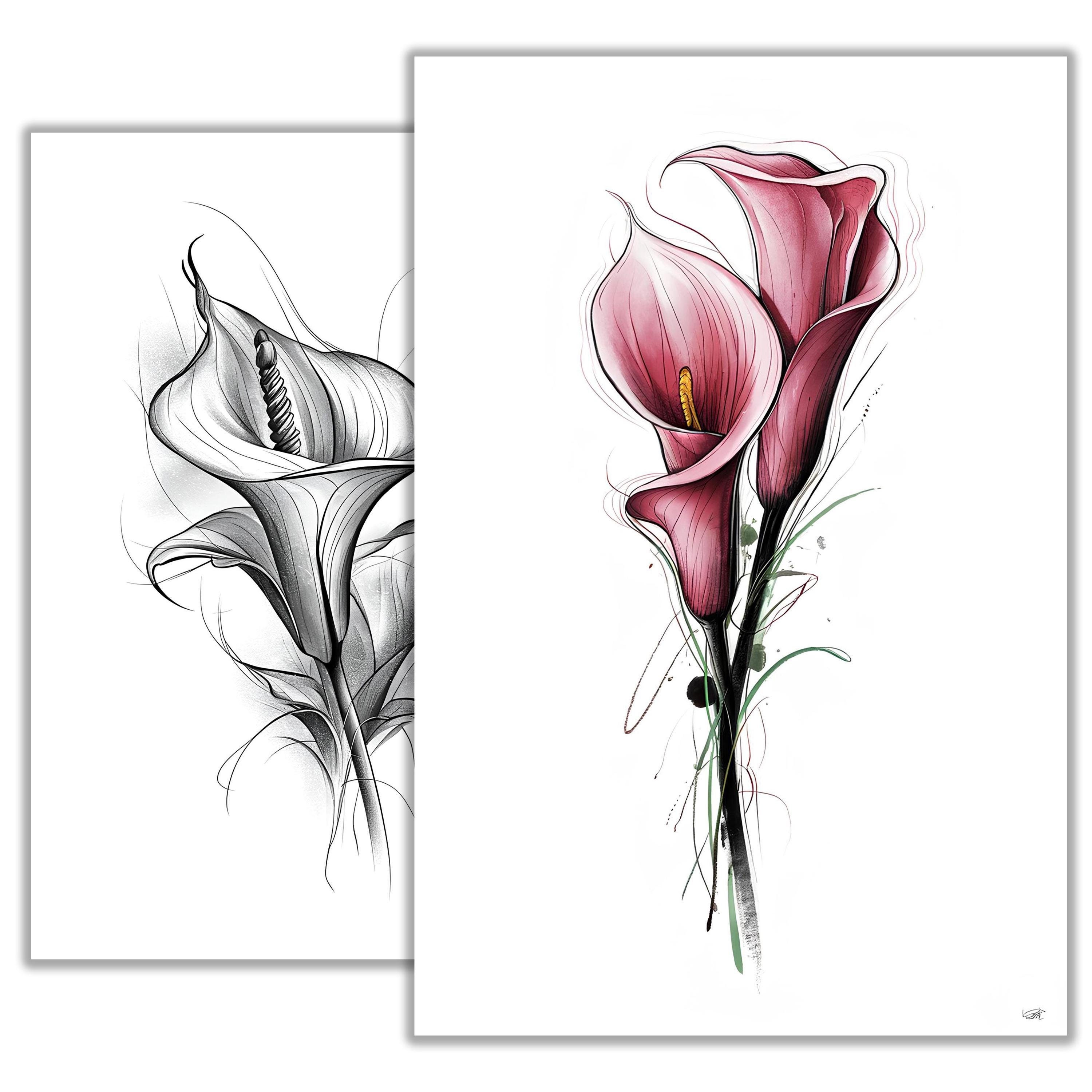 Calla Lily Tattoos Drawings
