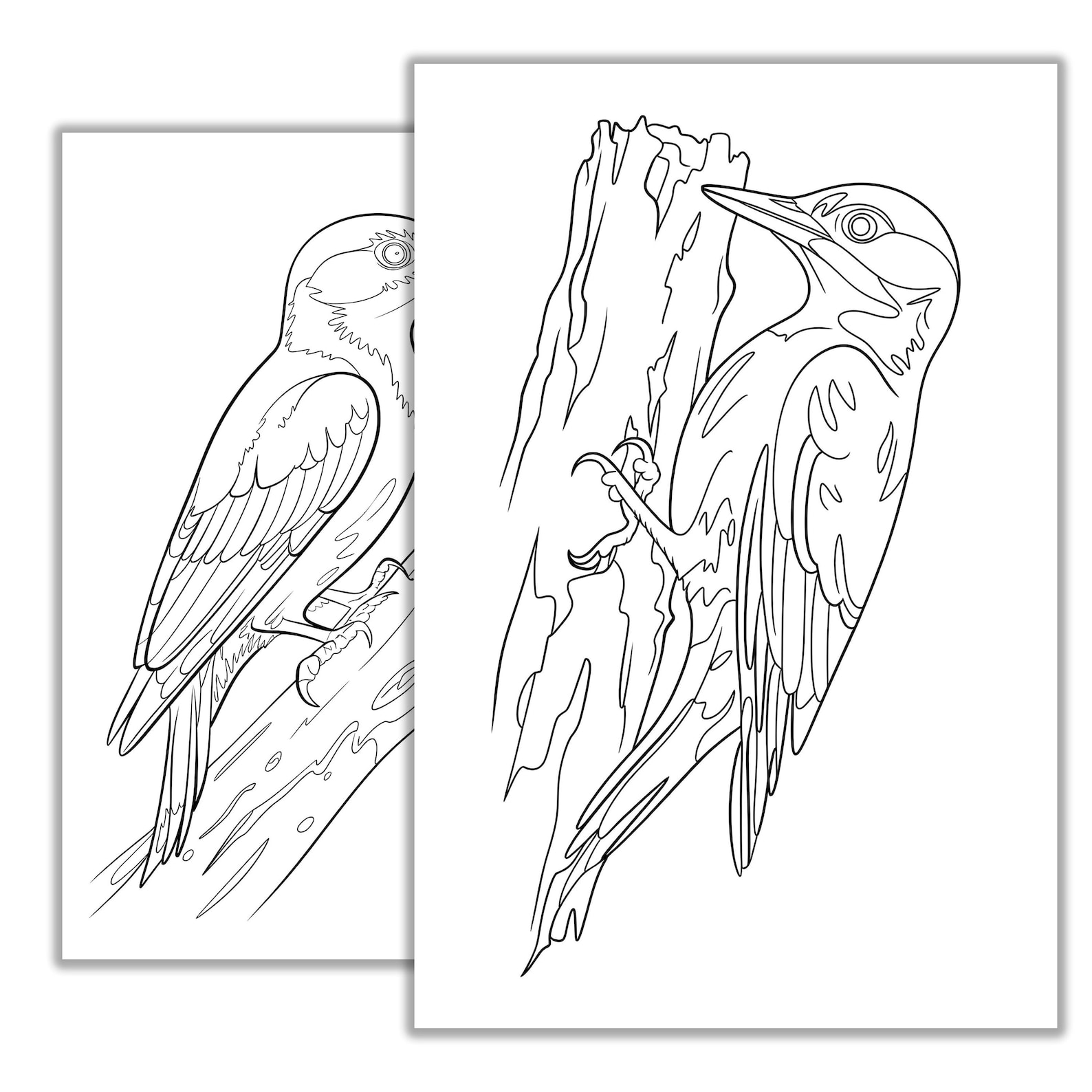 Printable Woodpecker Coloring Page Detailed Nature-inspired Design for ...