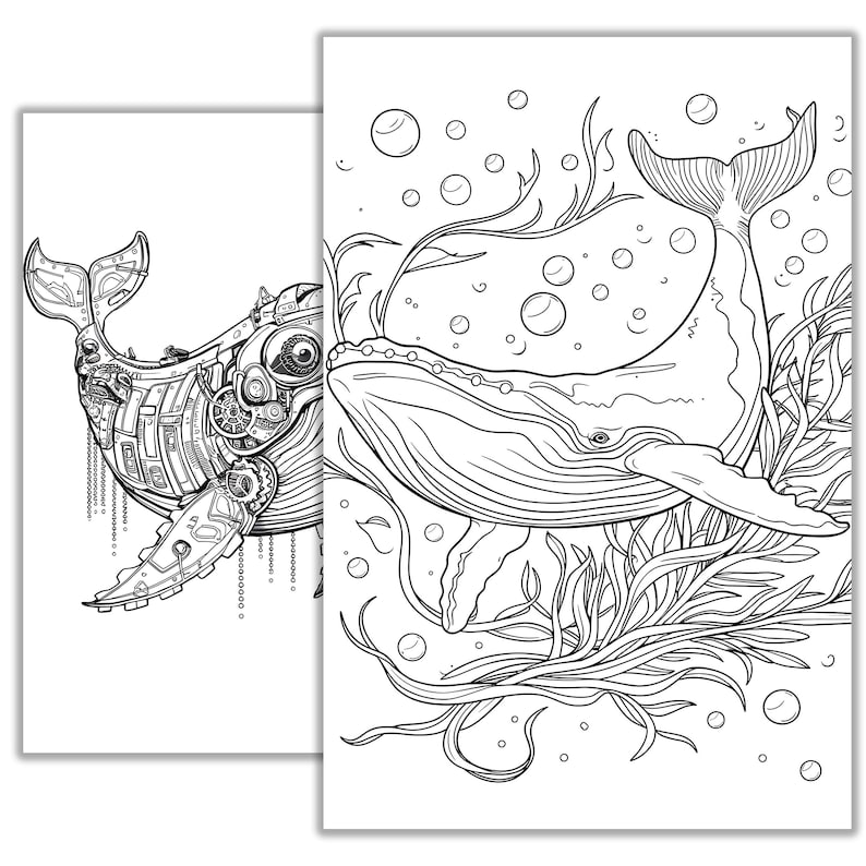 Whale Coloring Page Printable Ocean Art for Kids & Adults - Etsy