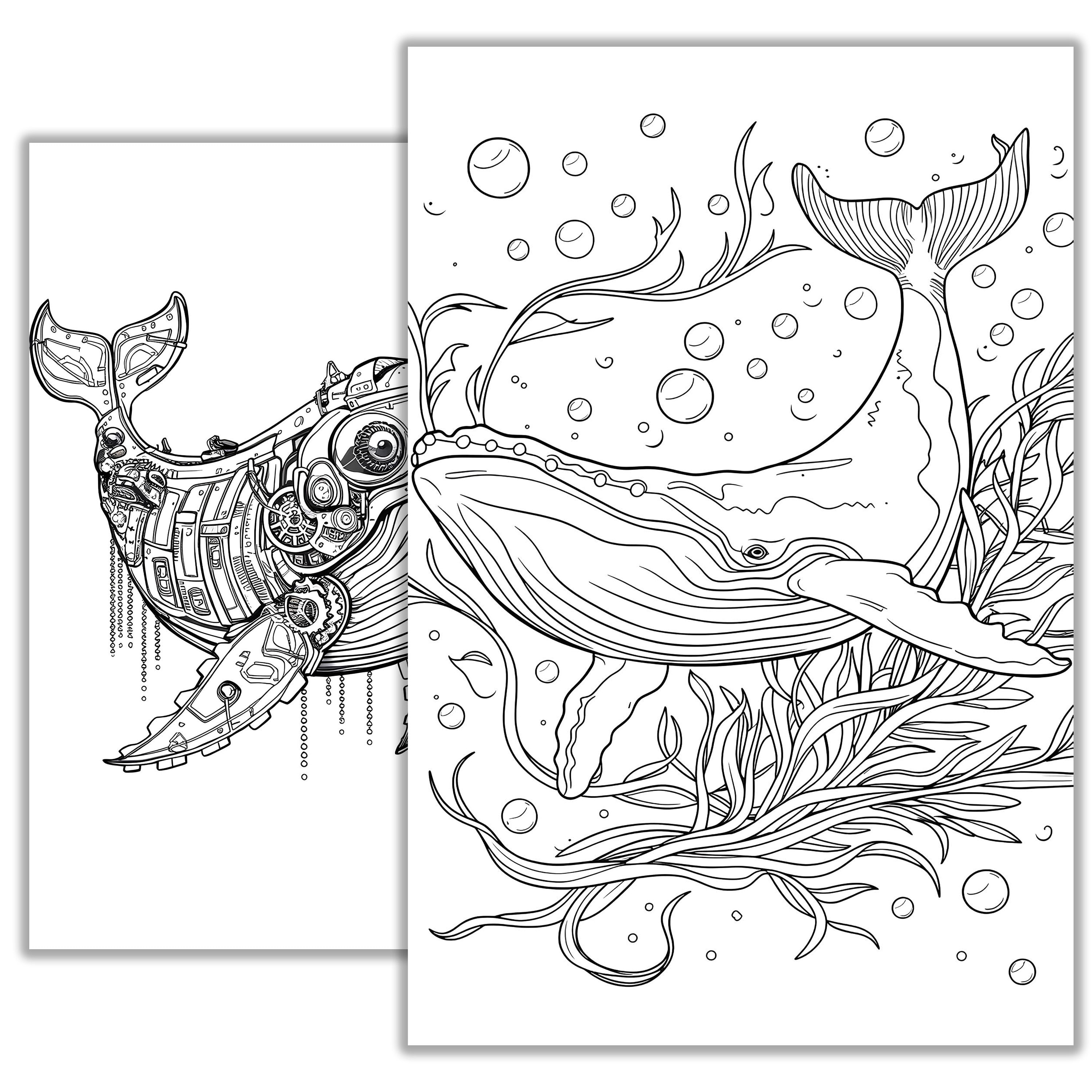 Whale Coloring Page Printable Ocean Art for Kids & Adults - Etsy