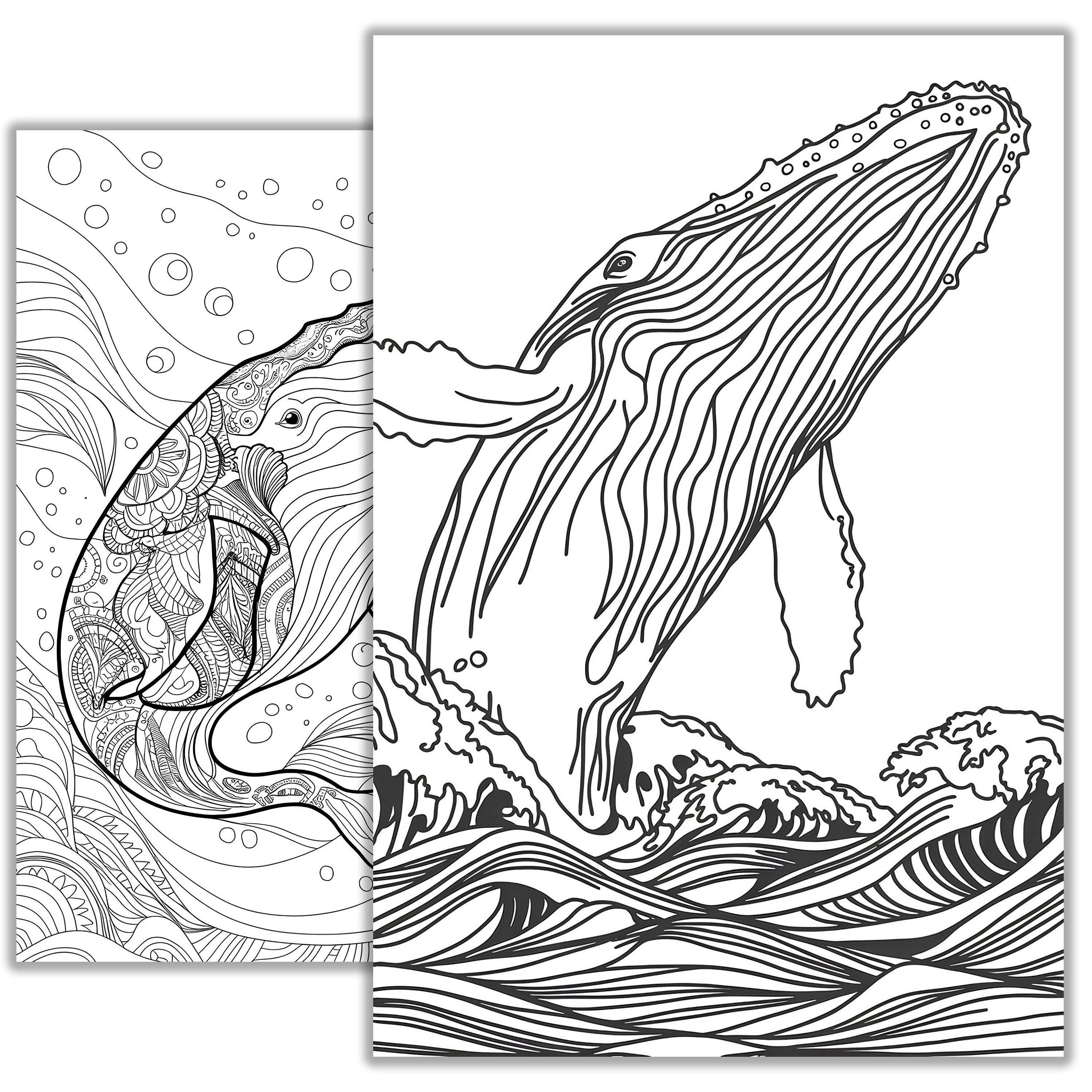 Whale Coloring Page Printable Ocean Art for Kids & Adults - Etsy