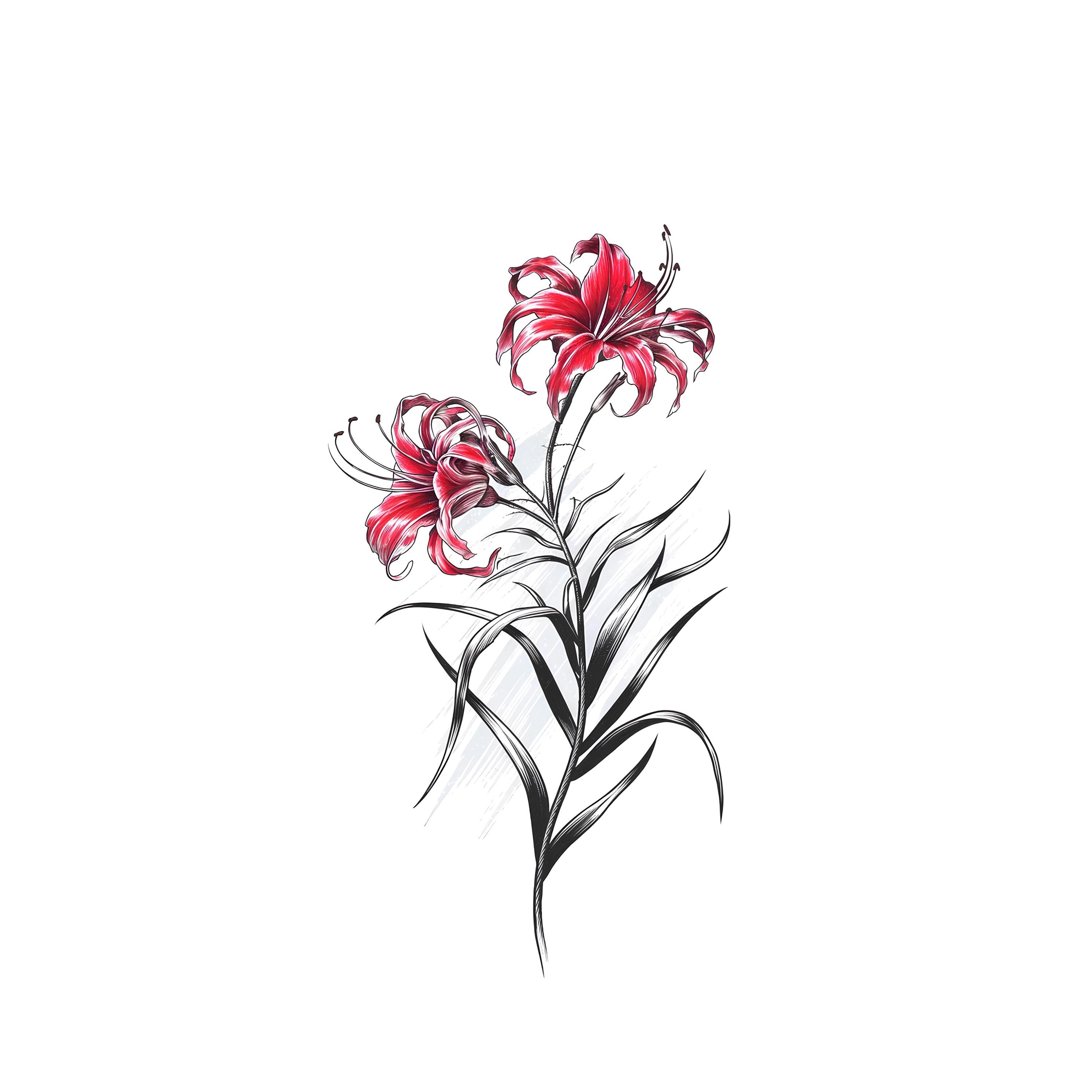 Red Spider Lily Tattoo Sketch – Elegant and Symbolic Floral Ink Design ...