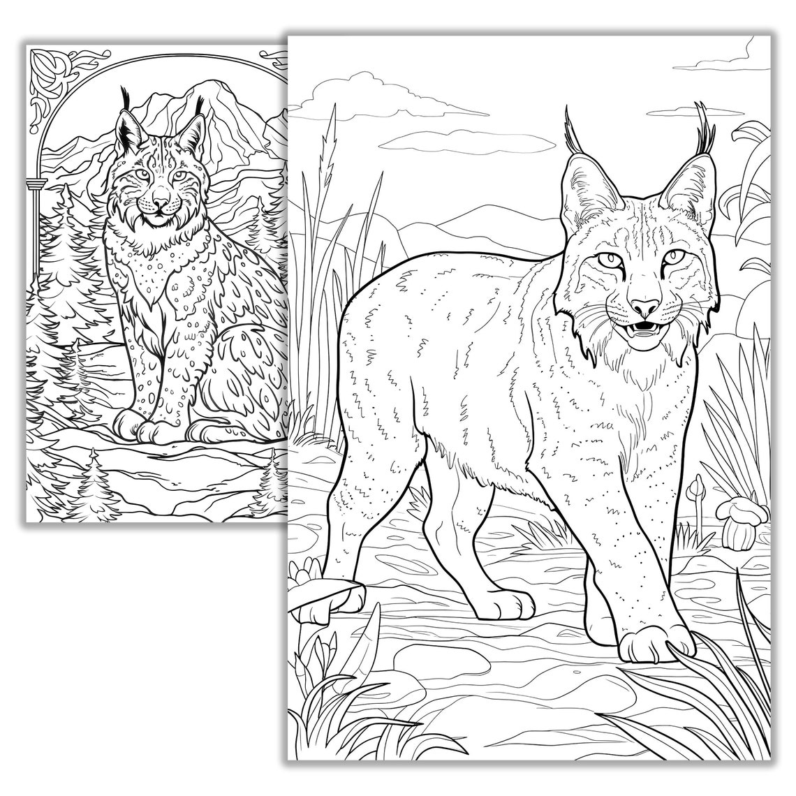 Lynx Coloring Pages | Printable Wildcat Art for Kids & Adults - Etsy
