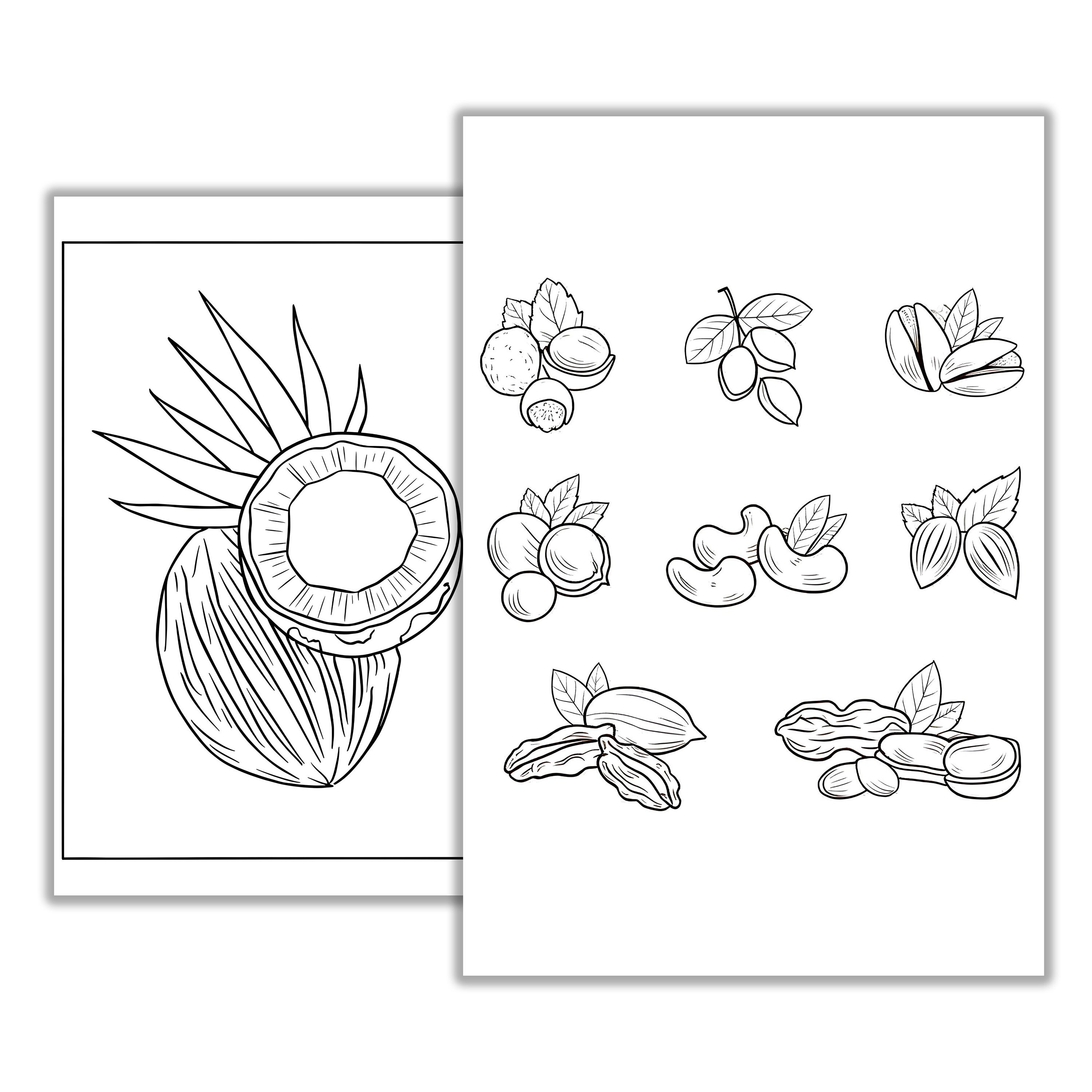 Nuts Coloring Page | Printable Food Art for Kids & Adults - Etsy
