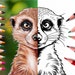 Meerkat Coloring Page | Printable Cute Animal Art for Kids & Adults - Etsy