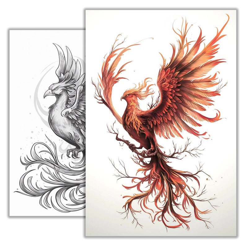 Phoenix Tattoo Sketch - Mythical Bird Line Art Design - Rebirth & Fire ...