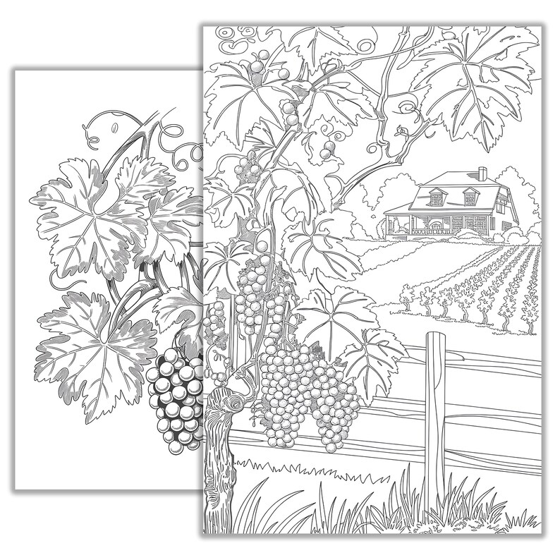 Grape Coloring Page – Fun and Detailed Printable Fruit Design - Etsy