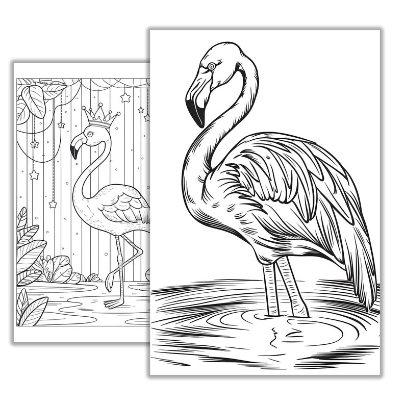 Flamingo Coloring Pages | Printable Tropical Art for Kids & Adults - Etsy