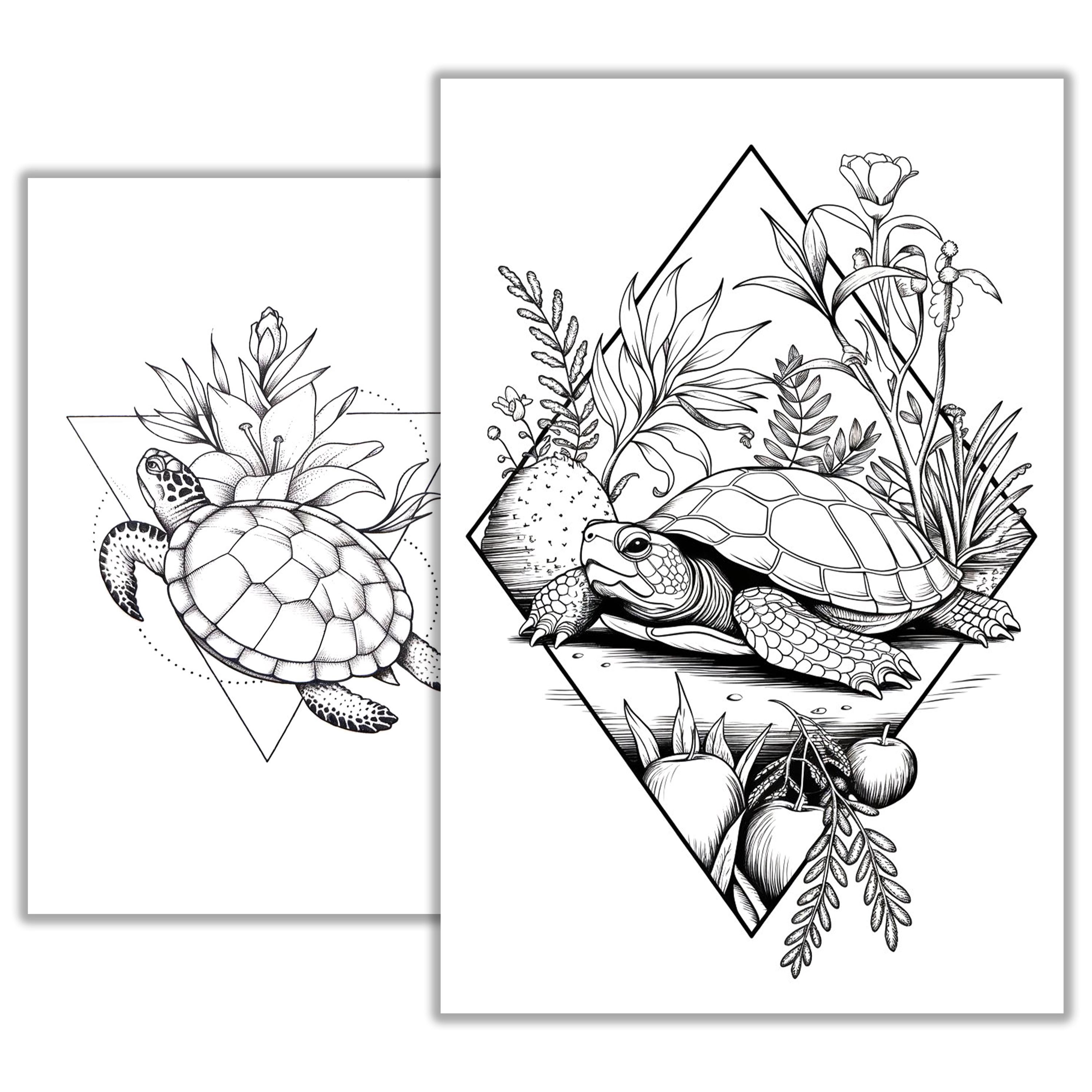 Turtle Tattoo Sketch | Sea Turtle Tattoo Design | Ocean Animal Line Art ...