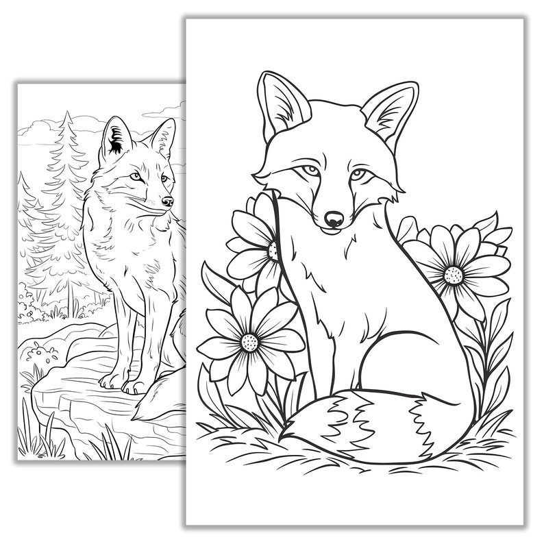 Fox Coloring Page Printable Woodland Art for Kids & Adults - Etsy