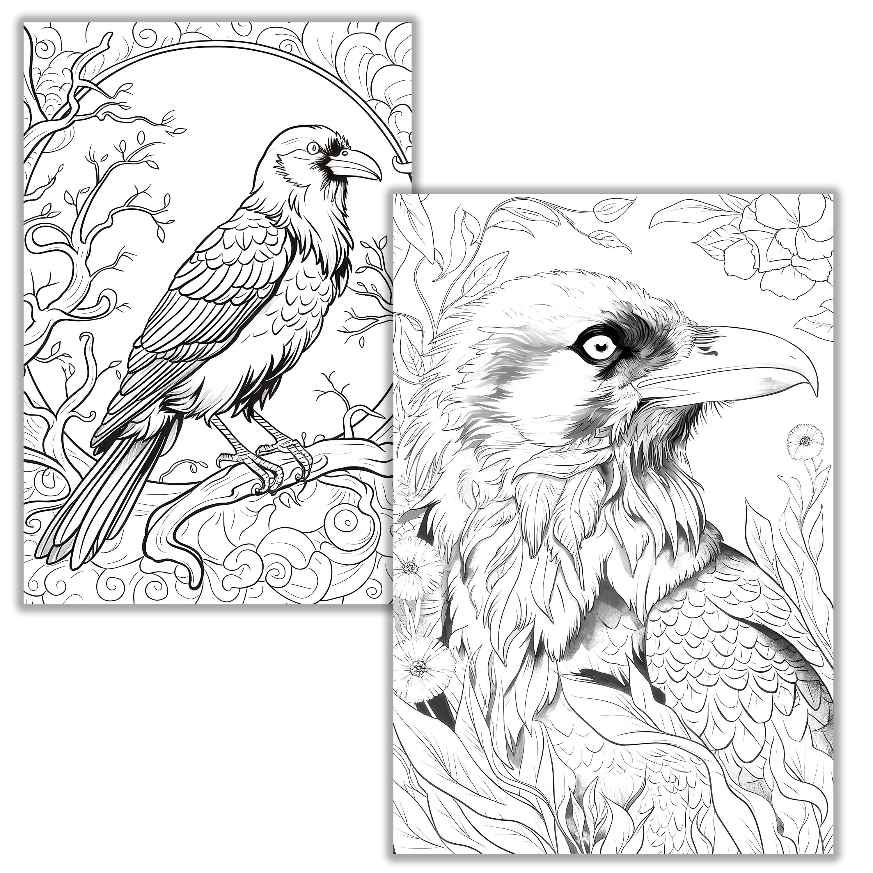 Raven Coloring Page – Printable Gothic Bird Line Art for Adults & Teens ...