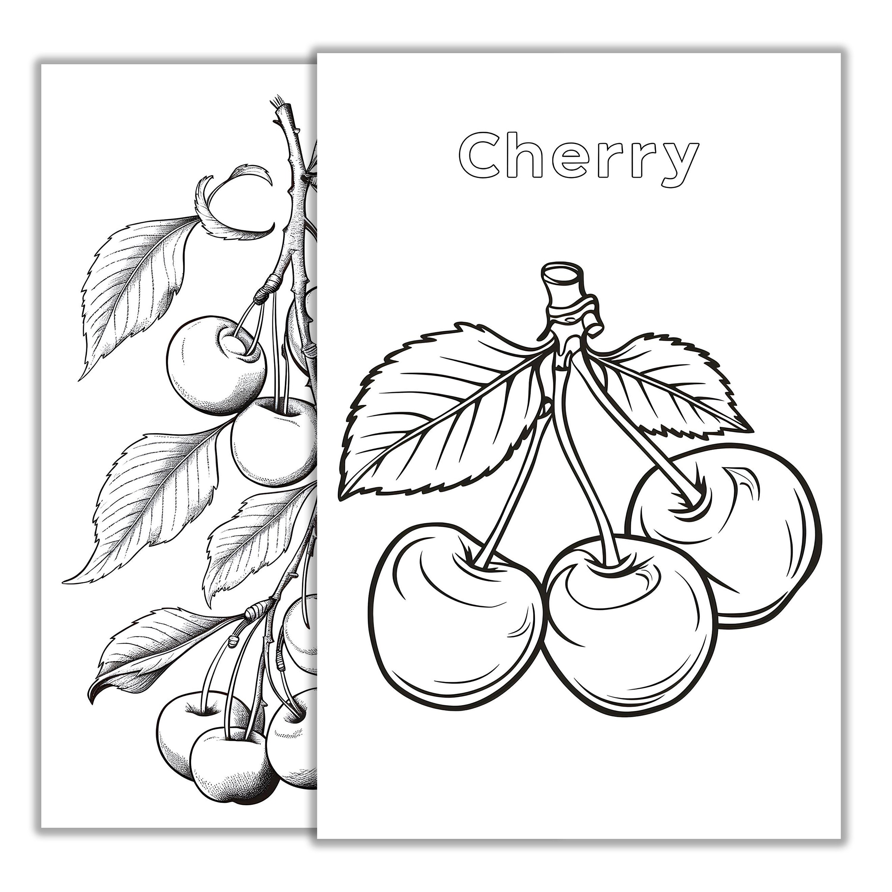 Cherry Coloring Pages – Printable Fruit Coloring Sheets, Kids & Adults ...