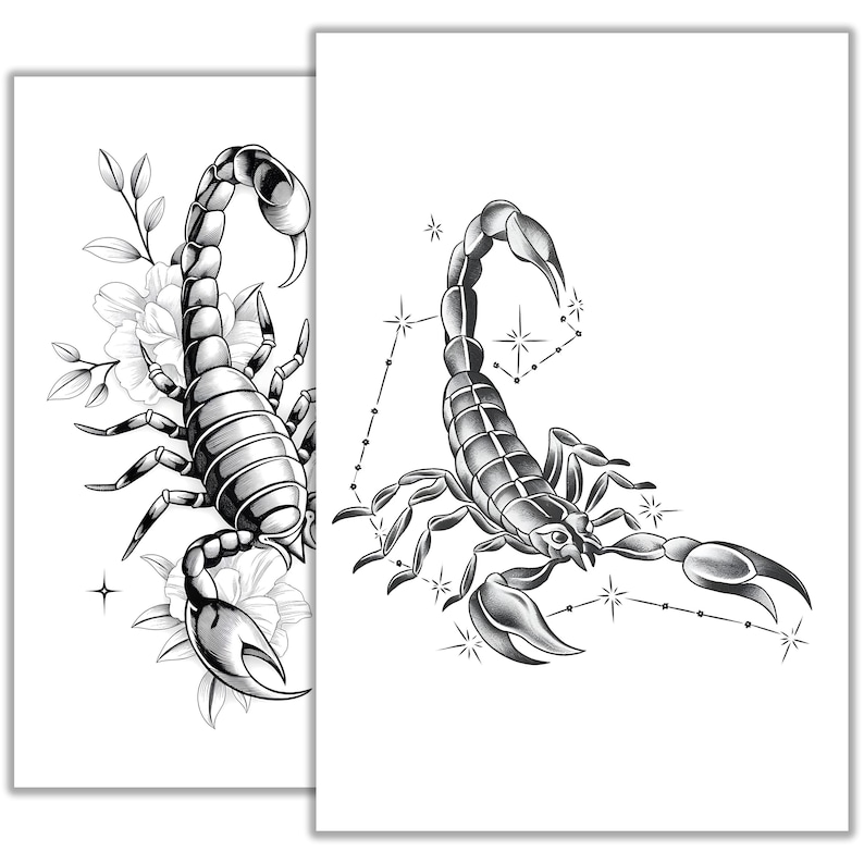 Scorpio Zodiac Sign Tattoo Sketch | Astrological Tattoo Design ...