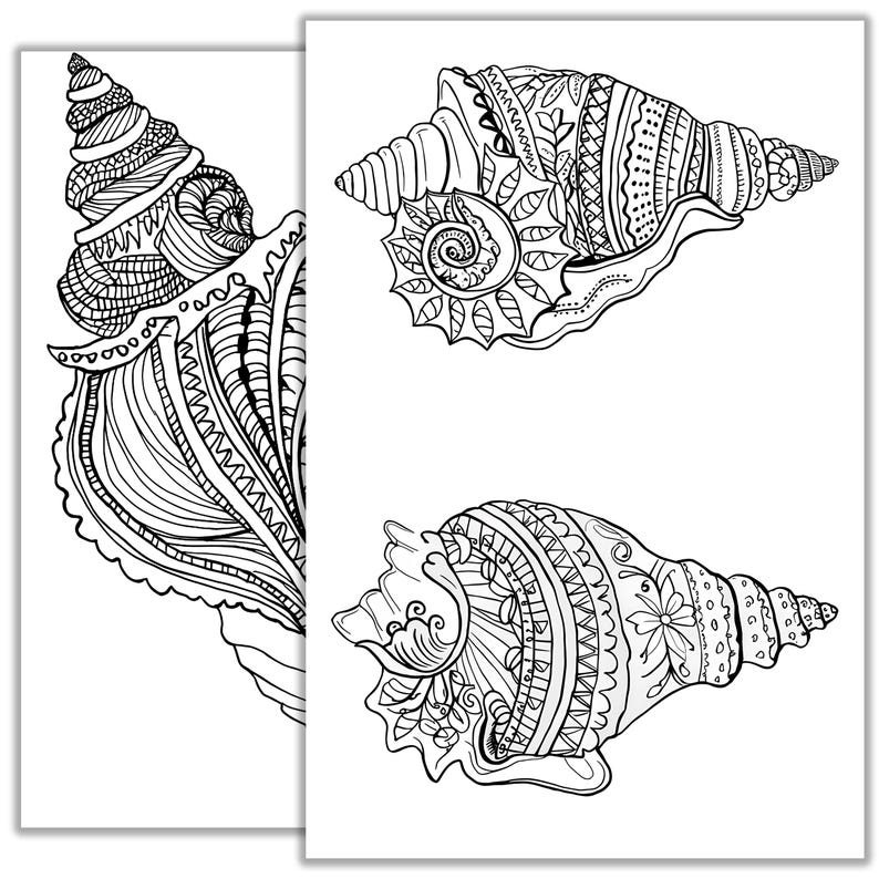 Seashells Coloring Page – Intricate Ocean-inspired Printable Art ...