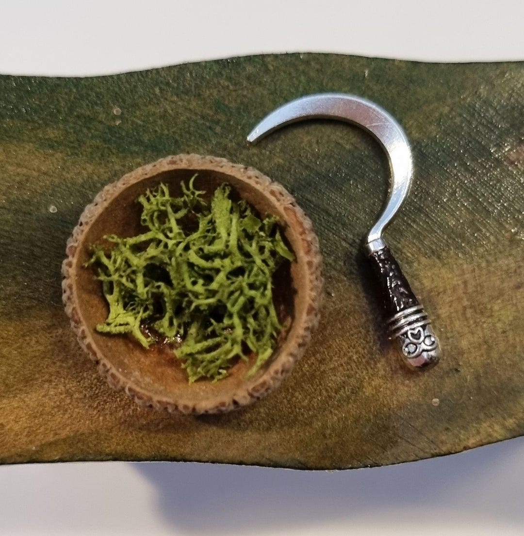 Dolls House Miniature Silver Sickle With an Acorn Bowl Full of Herbs or ...