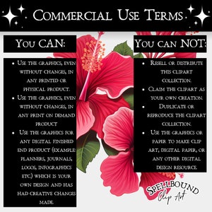 Hibiscus Flowers Digital Clipart, Commercial Use, Instant Download ...