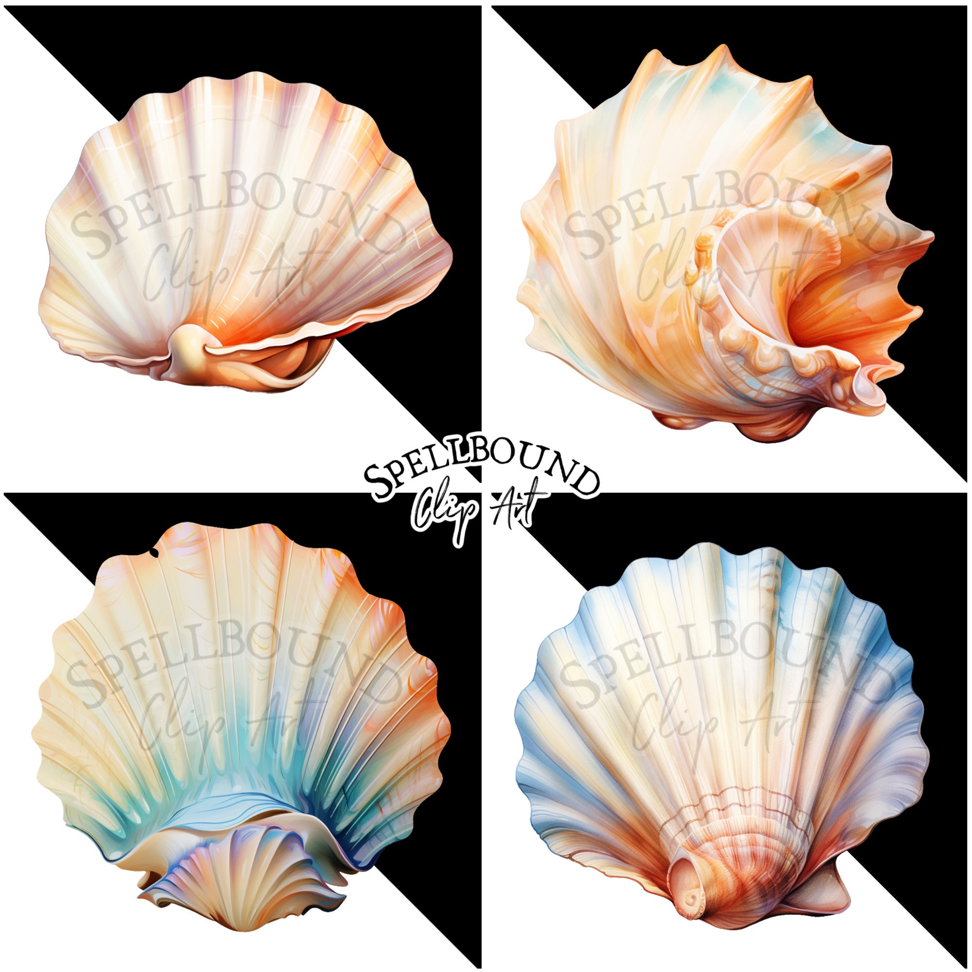 Seashells Digital Clipart, Commercial Use, Instant Download, Summer ...