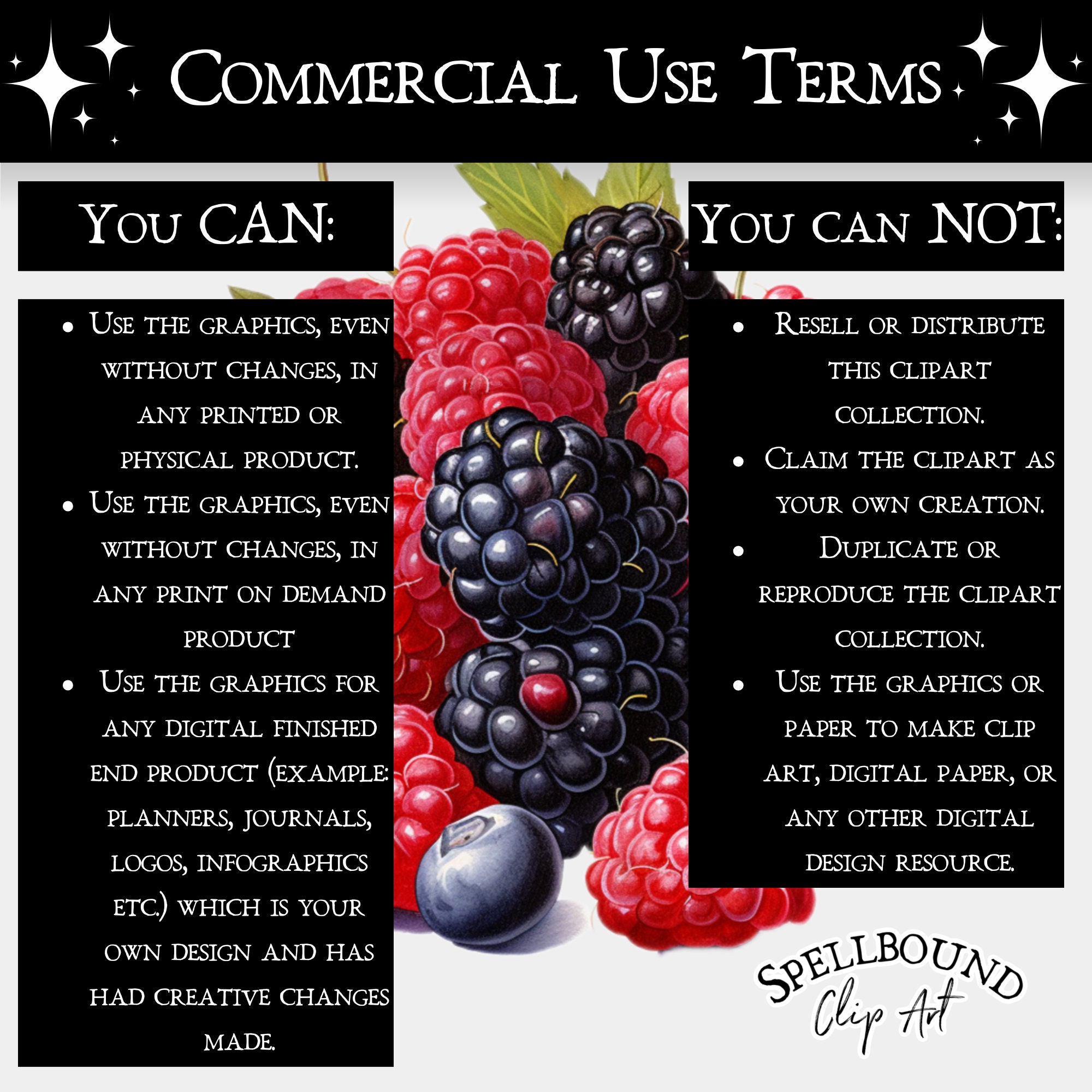 Berry Clipart Commercial Use Instant Download Food Clip - Etsy