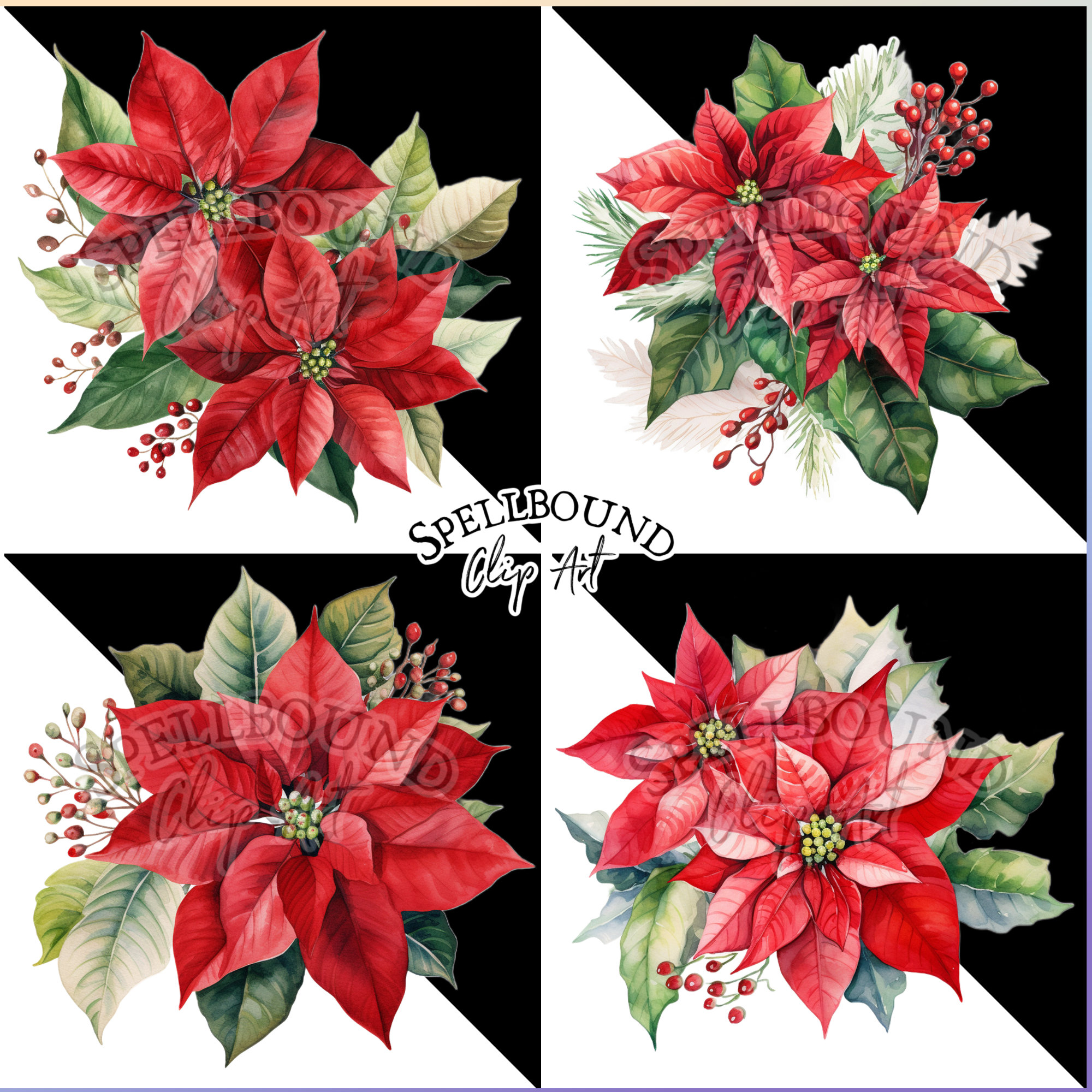 Watercolor Poinsettias Digital Clipart, Commercial Use, Instant ...