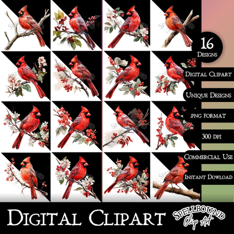 Cardinals Digital Clipart, Commercial Use, Instant Download, Bird Clip ...