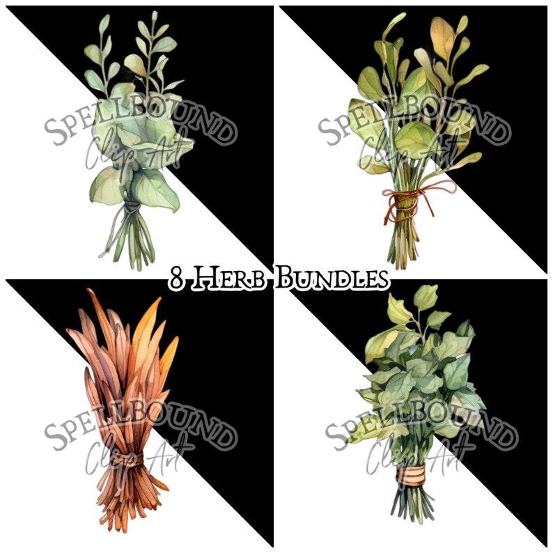 Herb Bundles Digital Clipart Commercial Use Instant - Etsy