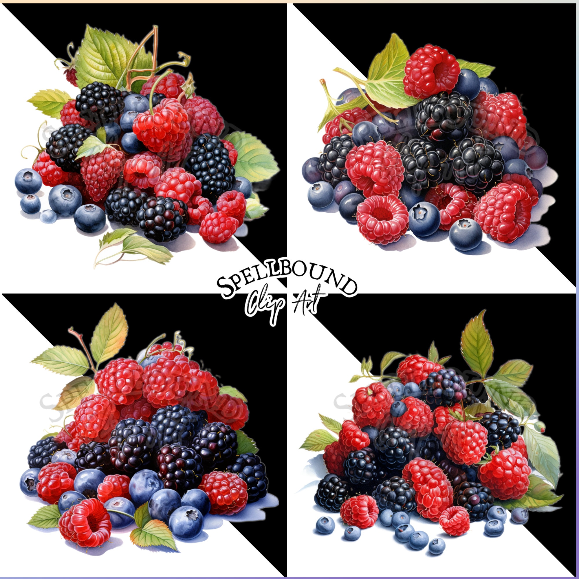 Berry Clipart, Commercial Use, Instant Download, Food Clip Art ...