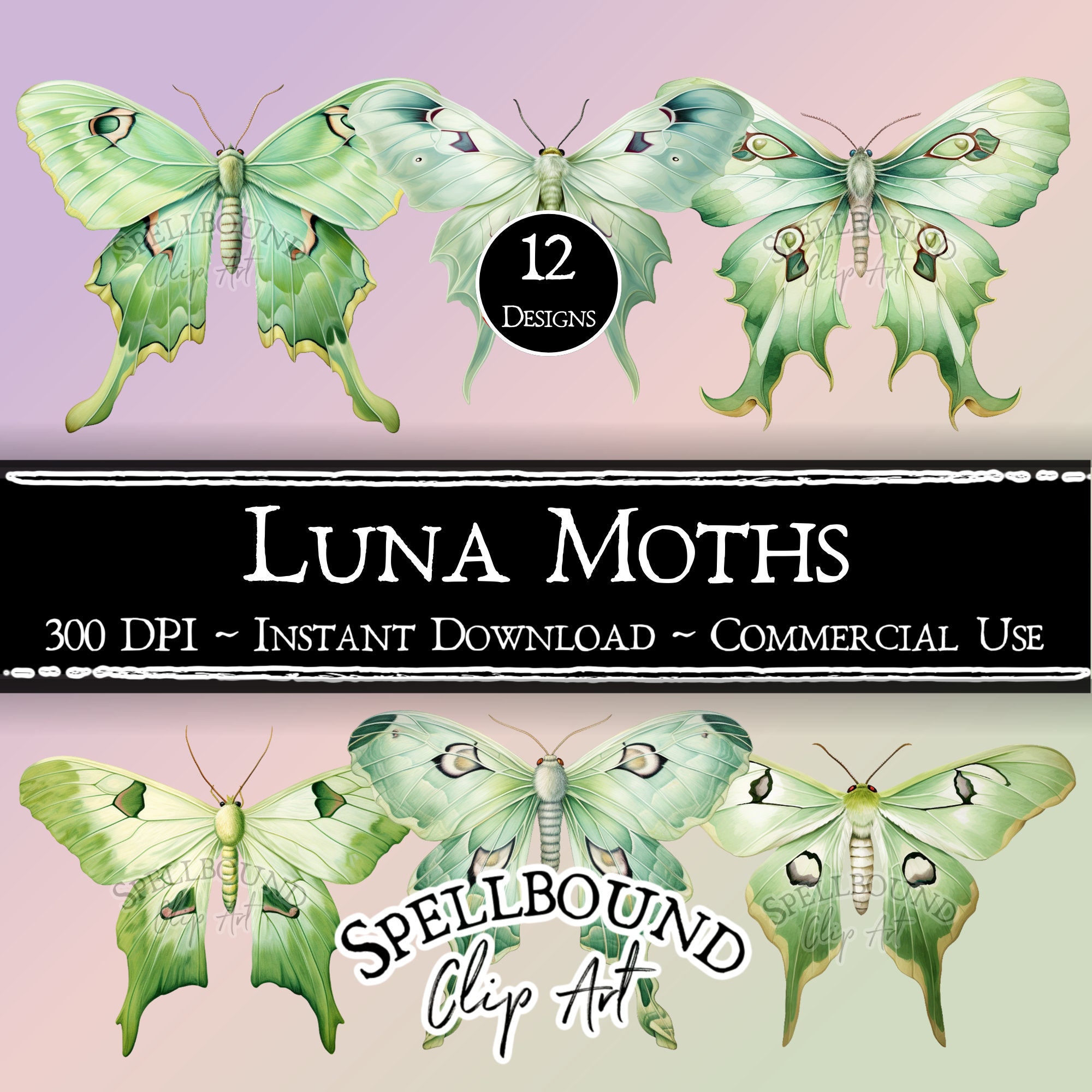 Luna Moths Digital Clipart, Commercial Use, Instant Download, PNG ...