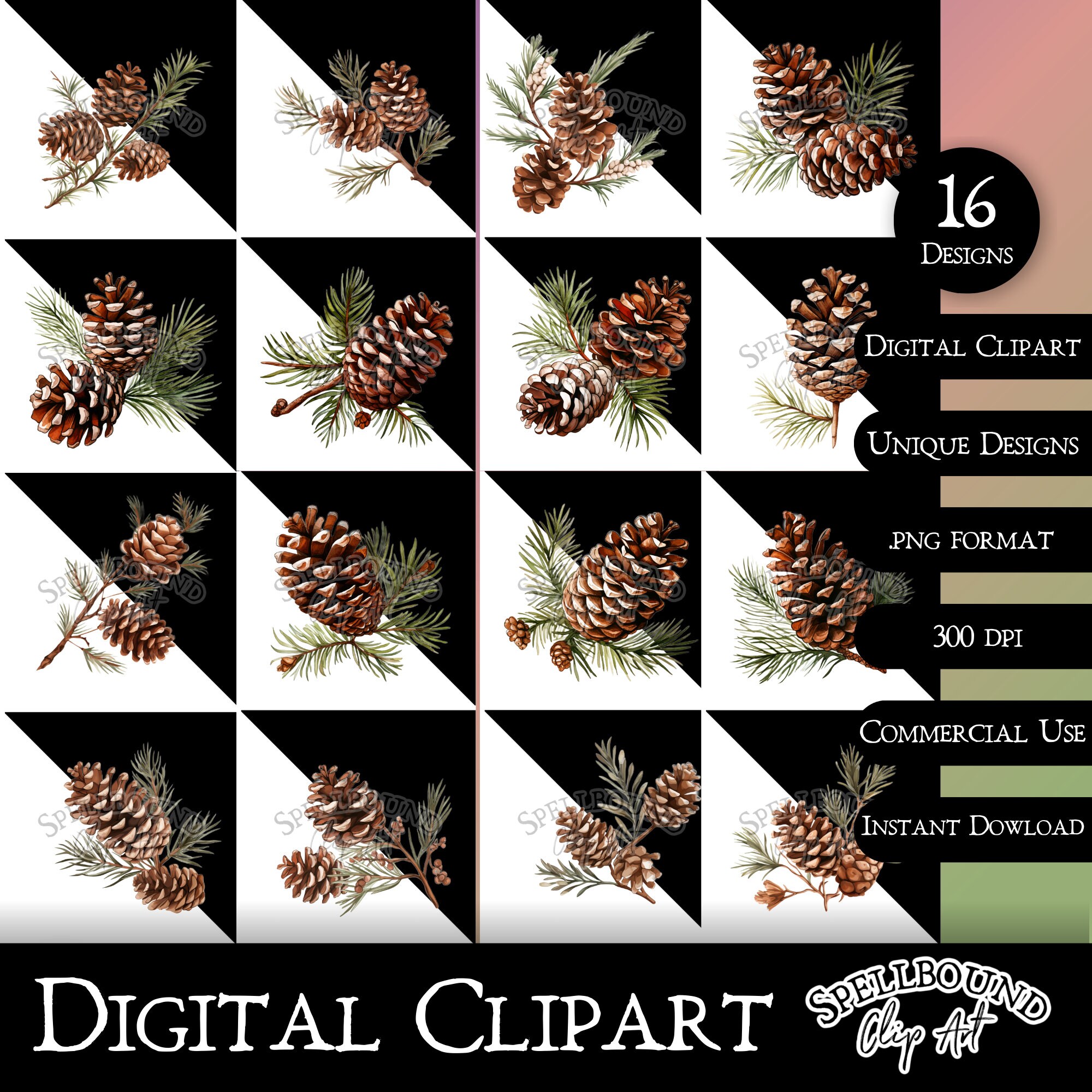 Pinecone Digital Clipart, Commercial Use, Instant Download, Christmas ...
